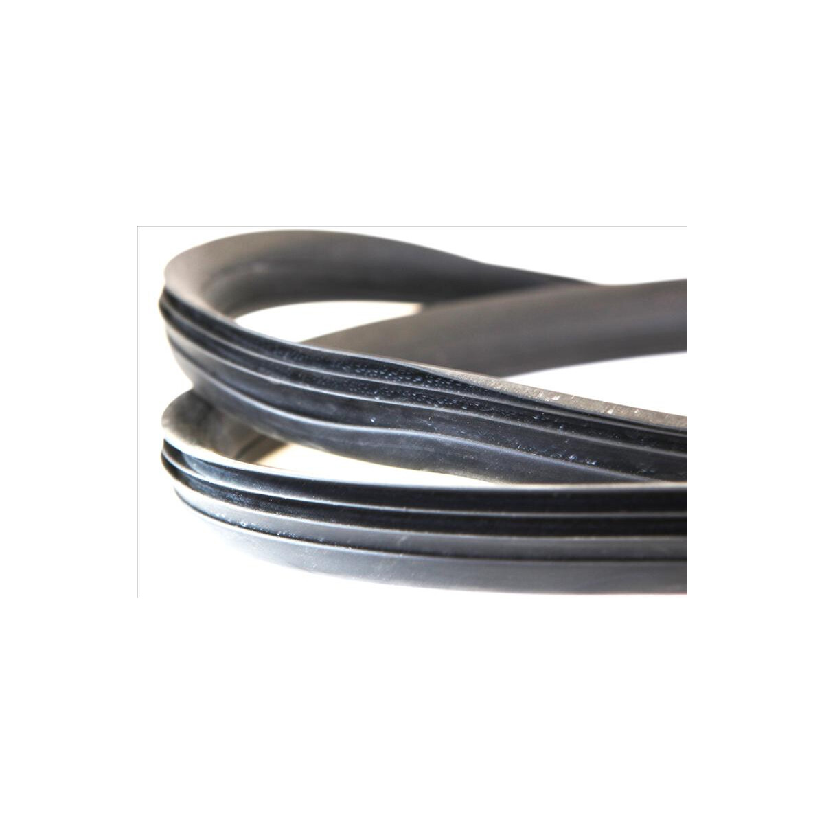 Typ25 Side window seal, rear, crew cab, left/right, 41,50