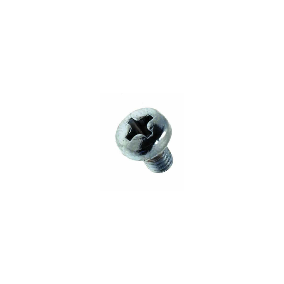 Ignition Points Screw (Size M4x6) for T2 and Beetle, 1,60